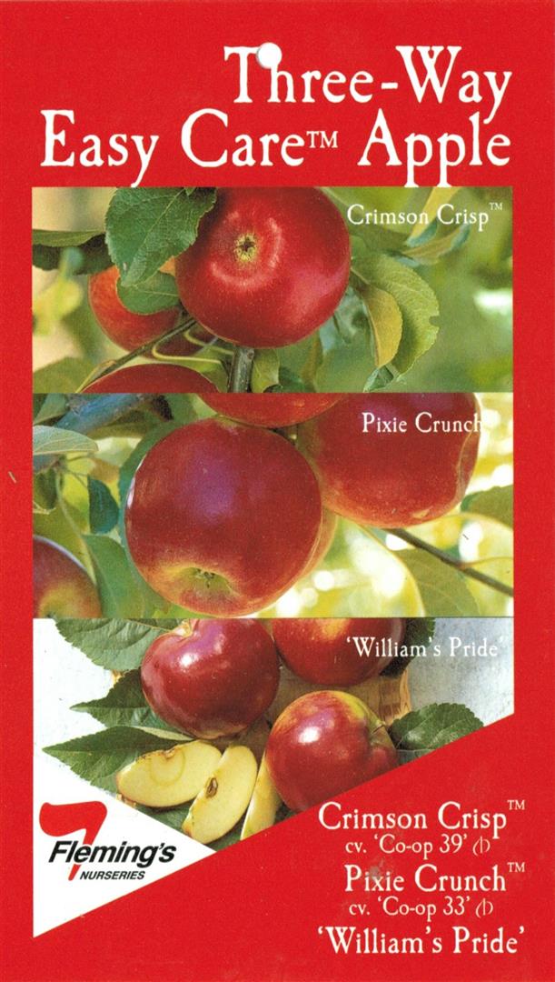 3 Way Crimson Crunch/pixie Crunch/williams 50lt – Bigga Trees